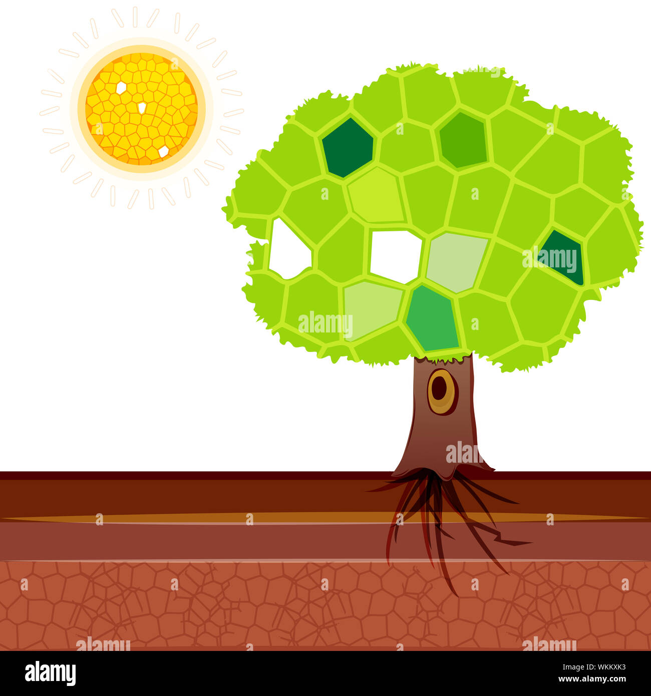 illustration of natural tree with sun Stock Photo - Alamy