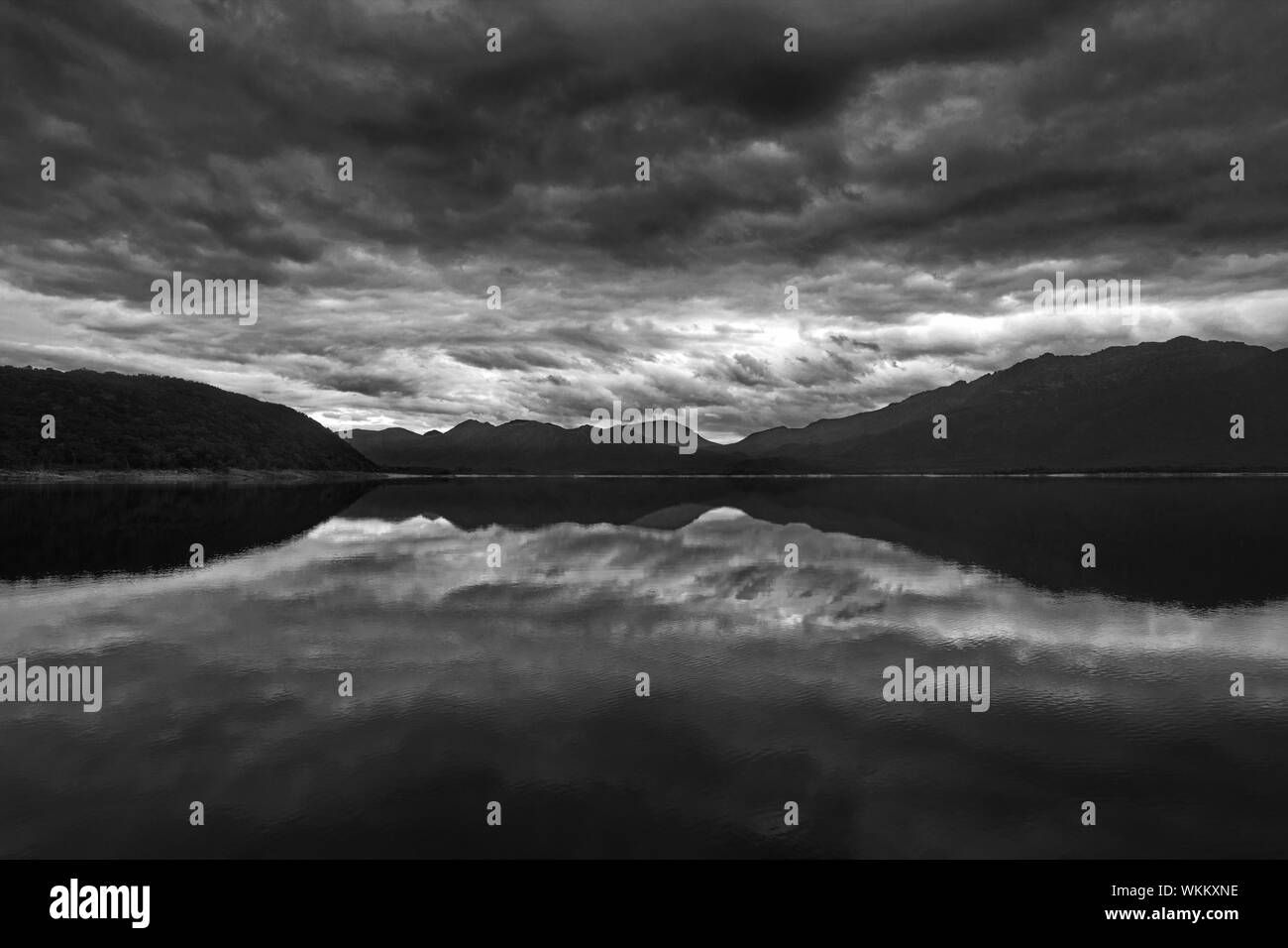 Black and white reflects the gray cloudiness of weather blowing onto ...