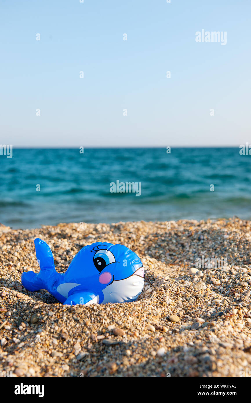 Funny floated toy fish at the summer beach Stock Photo - Alamy