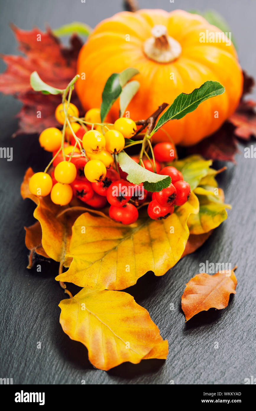 Vintage fall season composition hi-res stock photography and images - Alamy