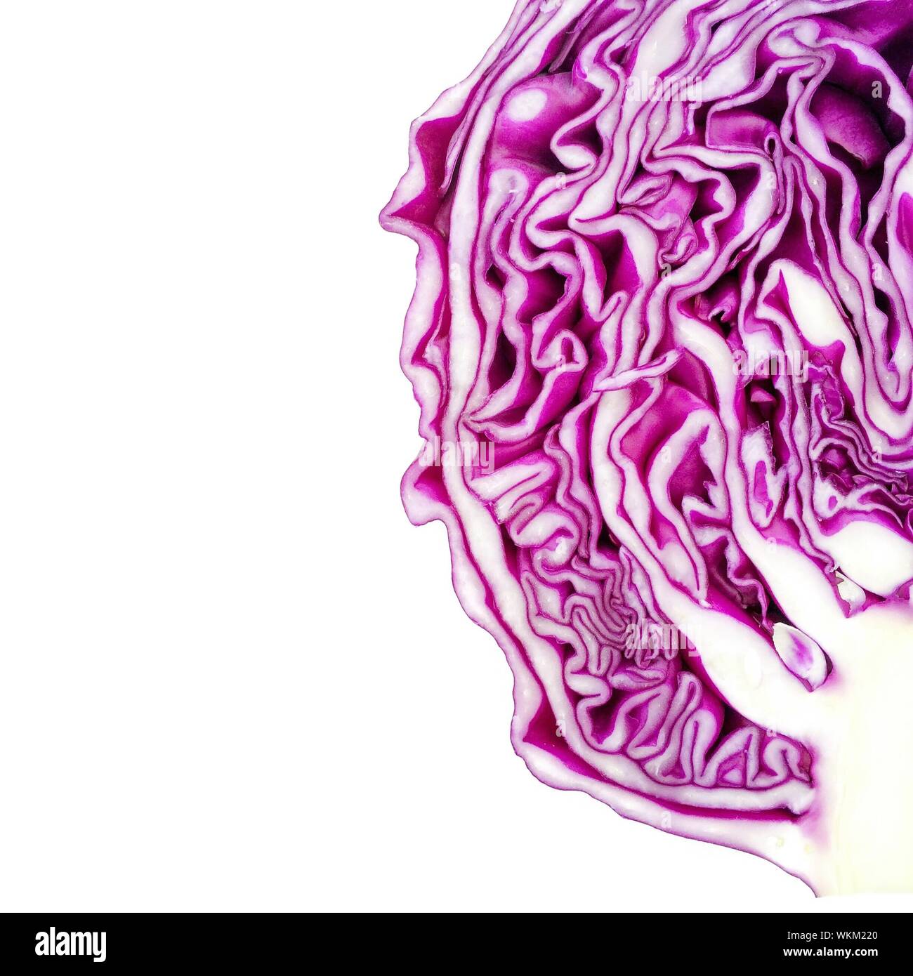 Cross Section Close Up Red Cabbage High Resolution Stock Photography ...