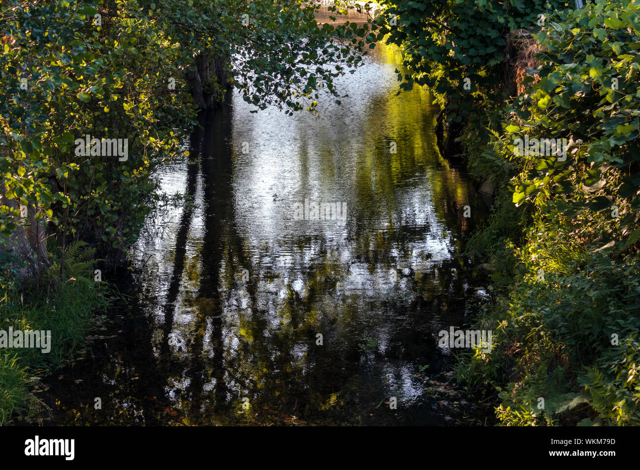 River, trees and water reflections Stock Photo - Alamy