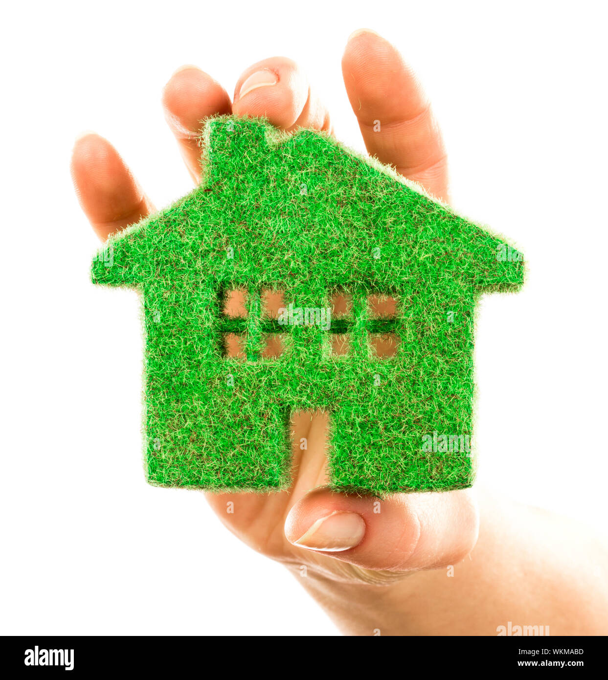 Grass home isolated on white background in human hands Stock Photo - Alamy