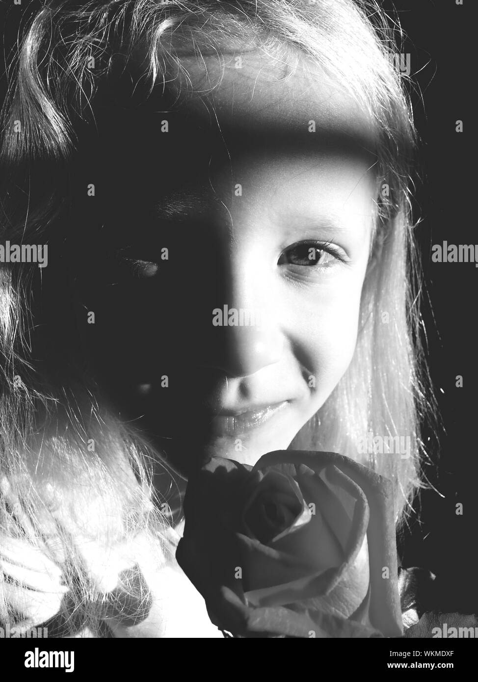 Portrait of rose hi-res stock photography and images - Alamy