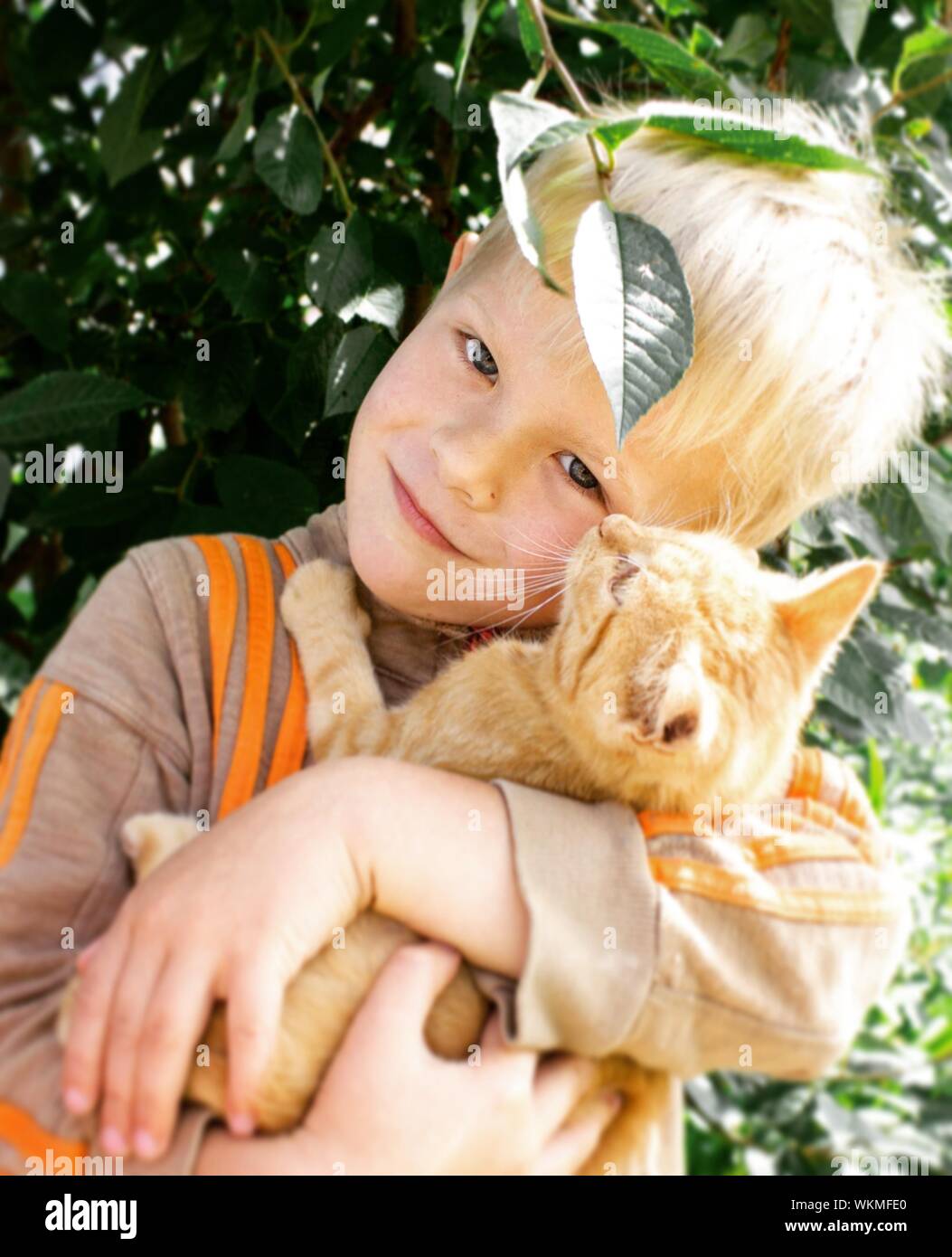 Portrait boy holding cat hi-res stock photography and images - Alamy