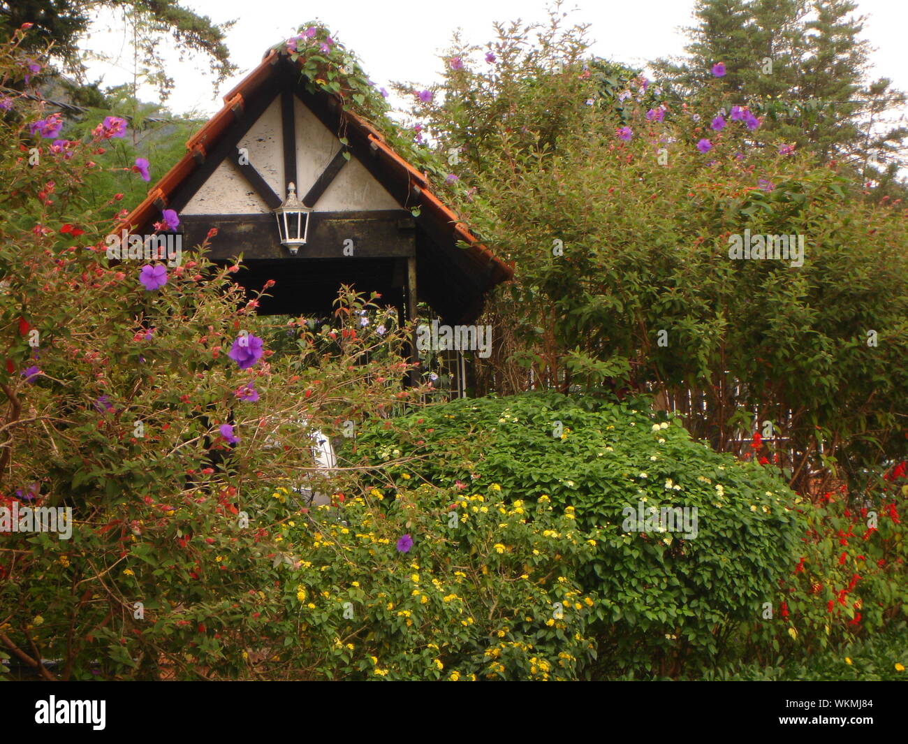 Garden structure plants hi-res stock photography and images - Alamy