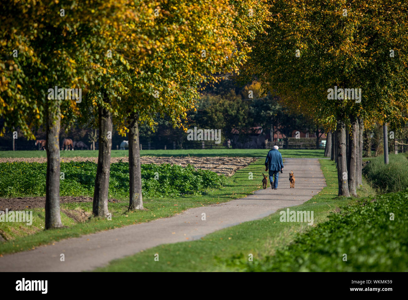 It takes two hi-res stock photography and images - Alamy