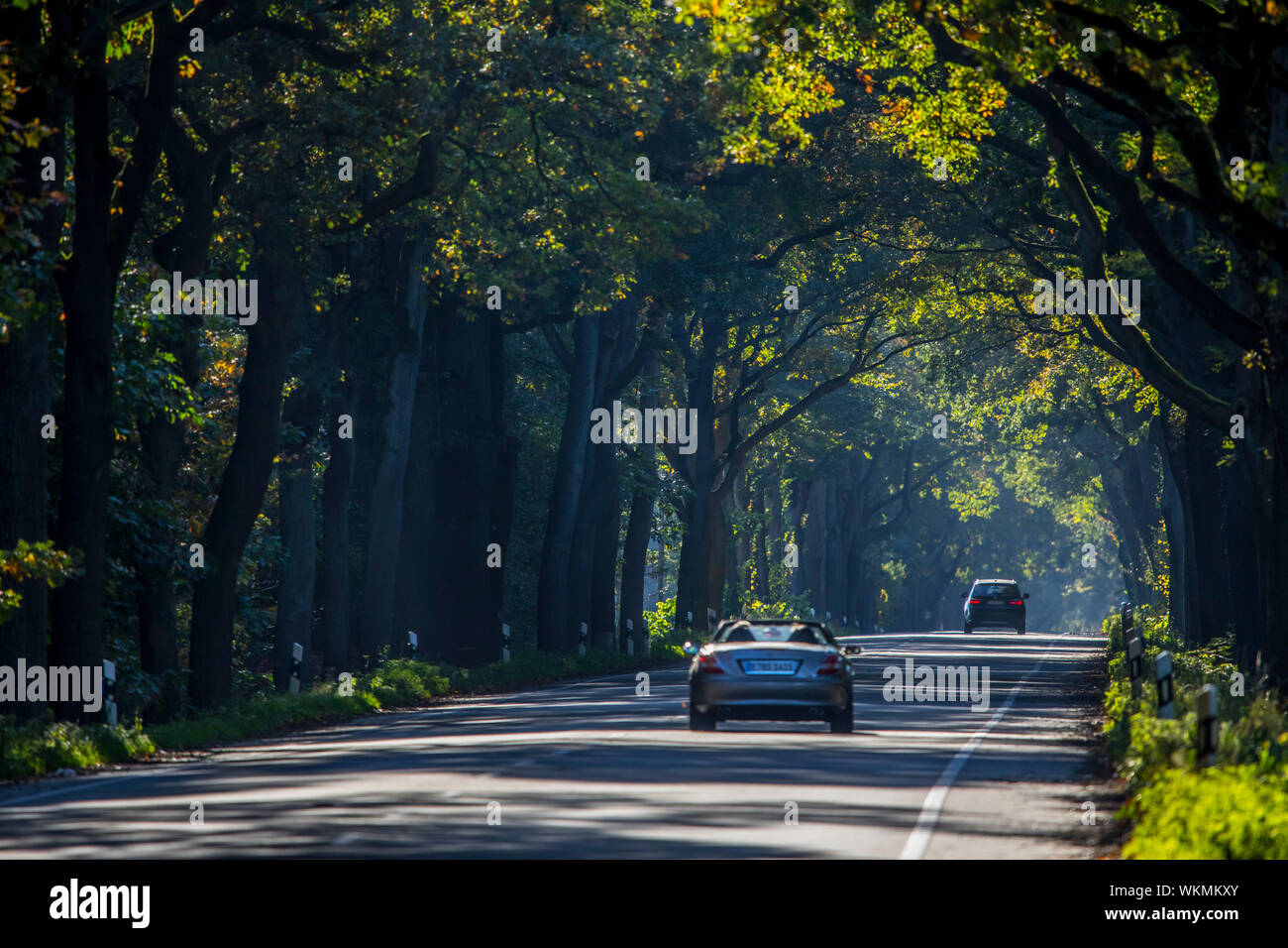 Landstraße, B 88, Weseler Straße, between Wulfen and Schermbeck, in the ...