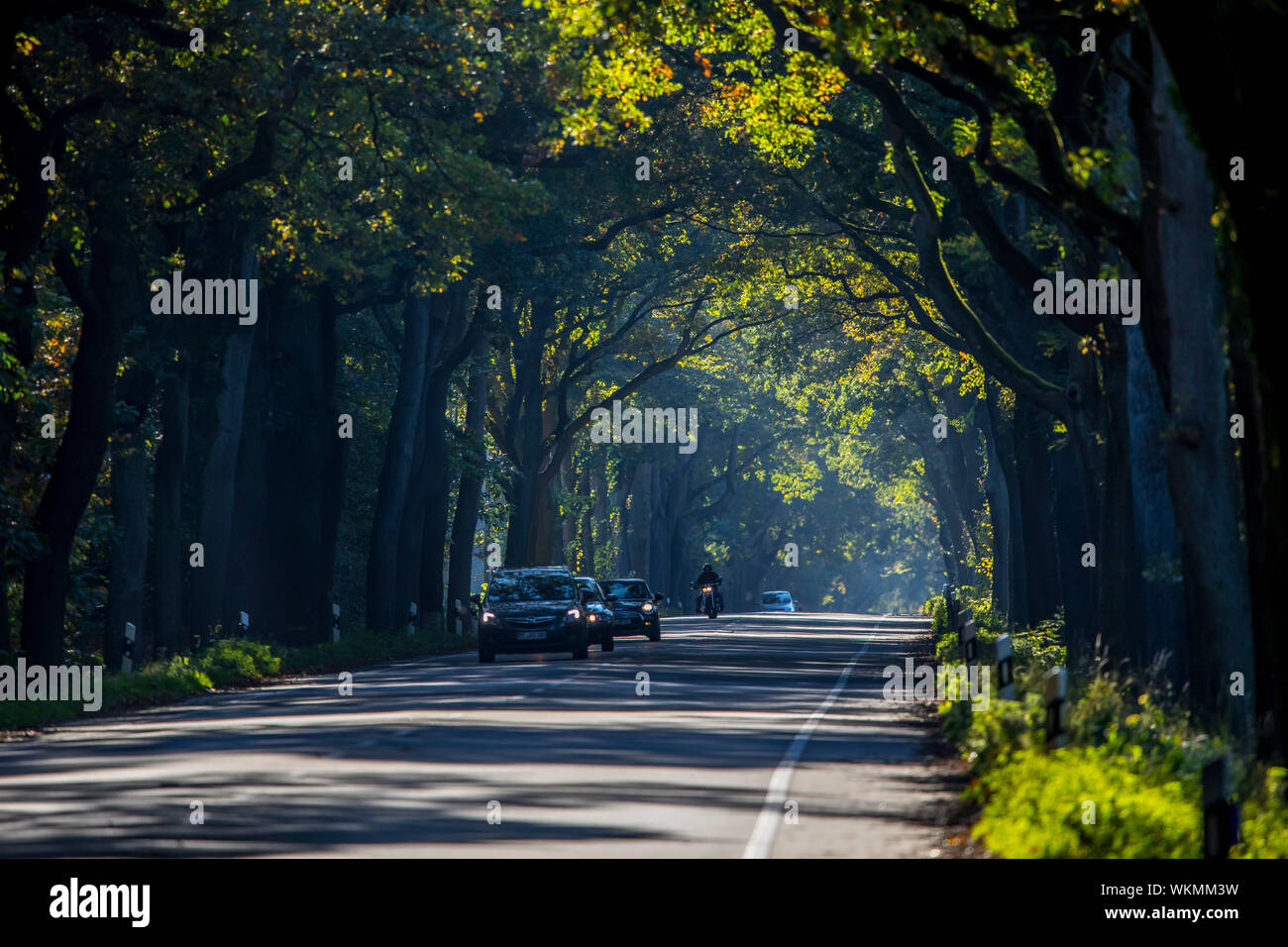 Landstraße, B 88, Weseler Straße, between Wulfen and Schermbeck, in the ...