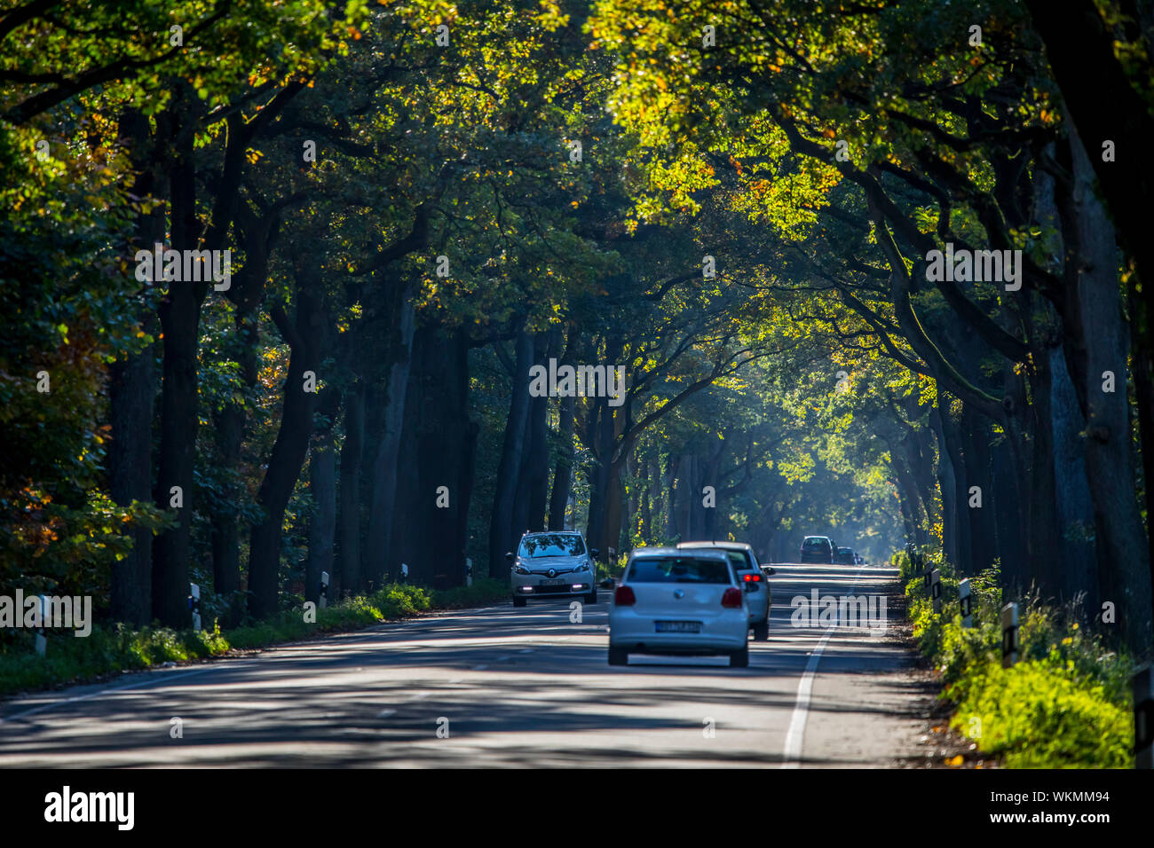 Landstraße, B 88, Weseler Straße, between Wulfen and Schermbeck, in the ...
