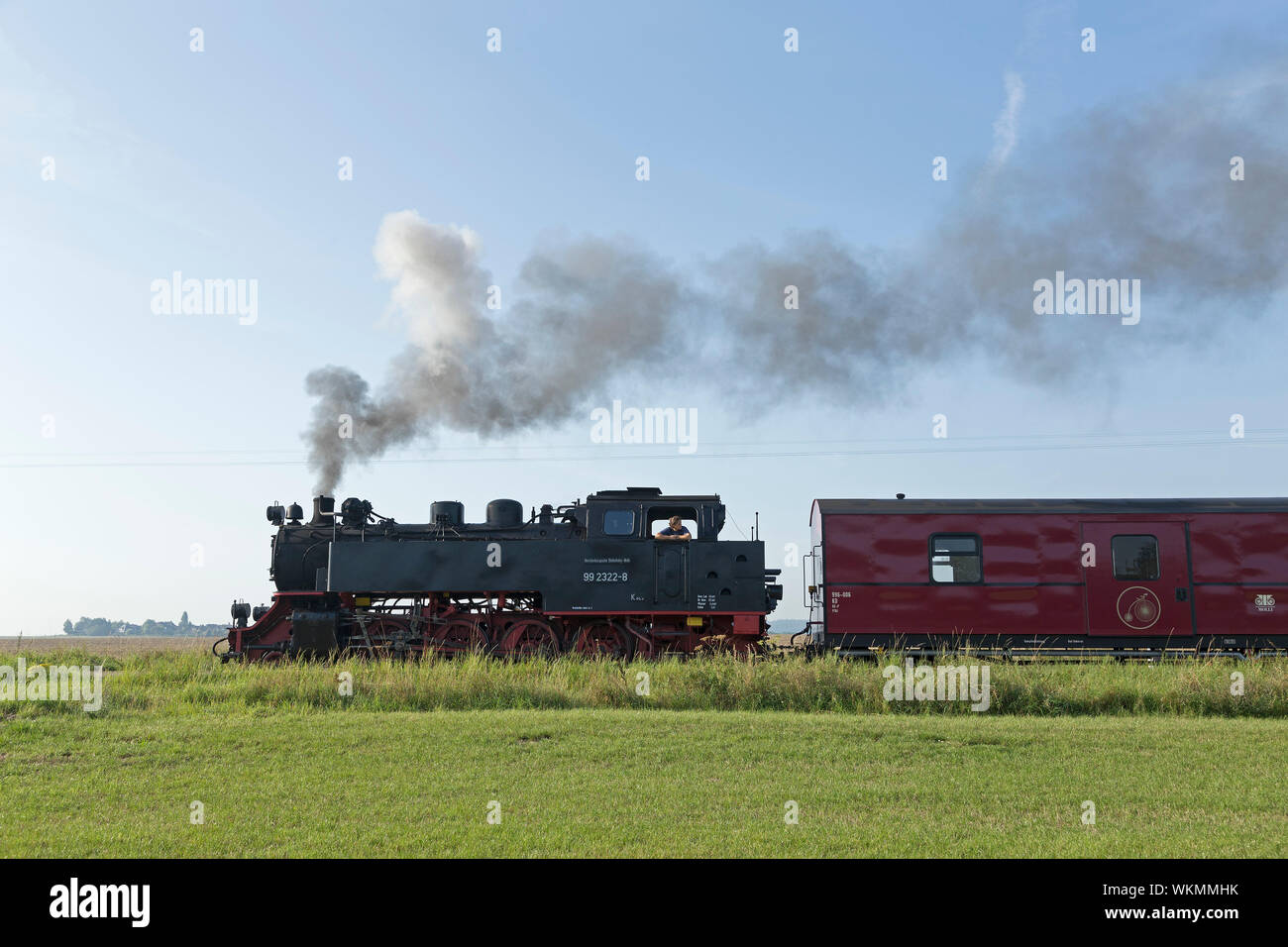 steam train Molli, Wittenbeck, Mecklenburg-West Pomerania, Germany ...