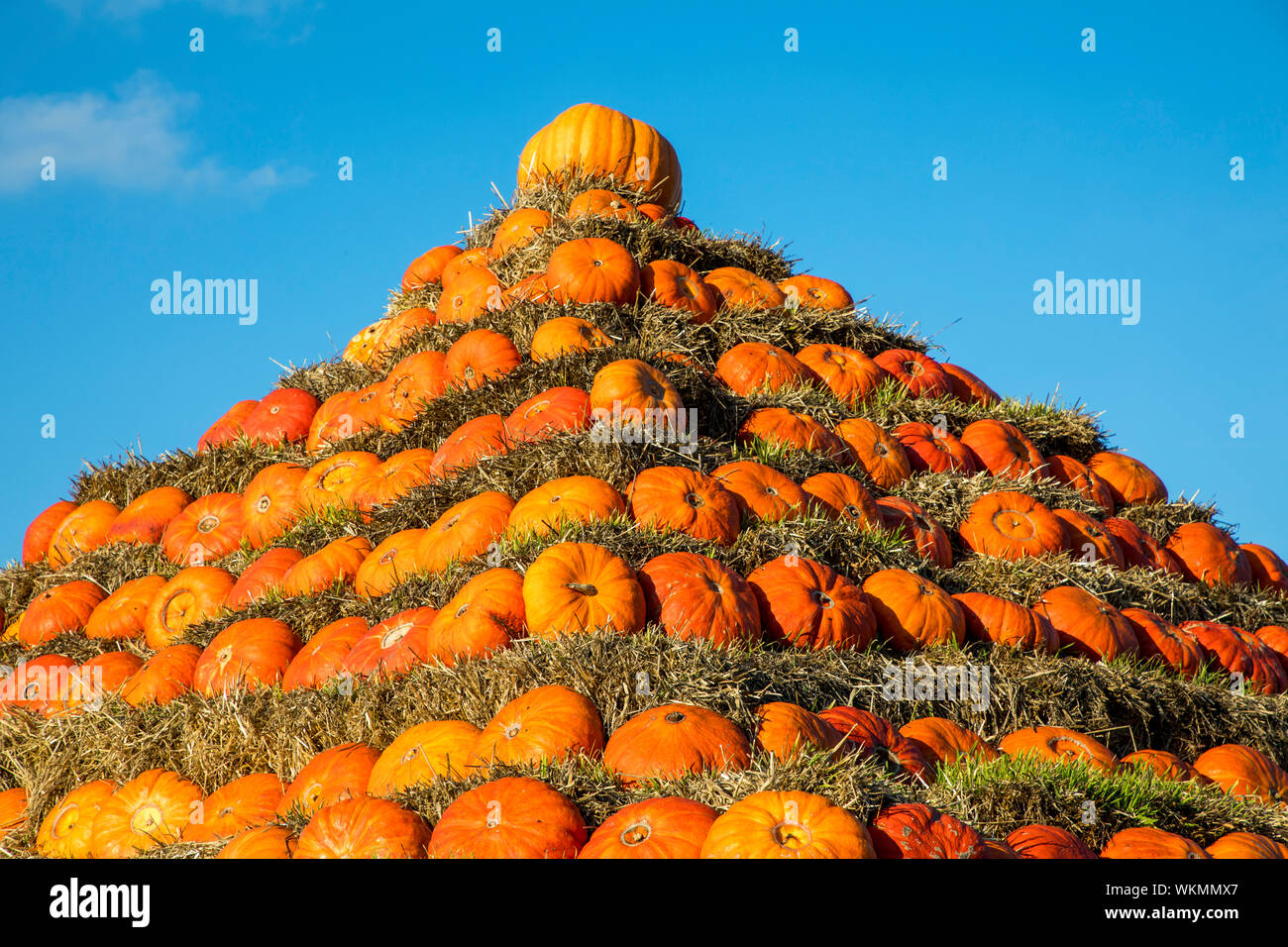 Pyramid of pumpkins hi-res stock photography and images - Alamy