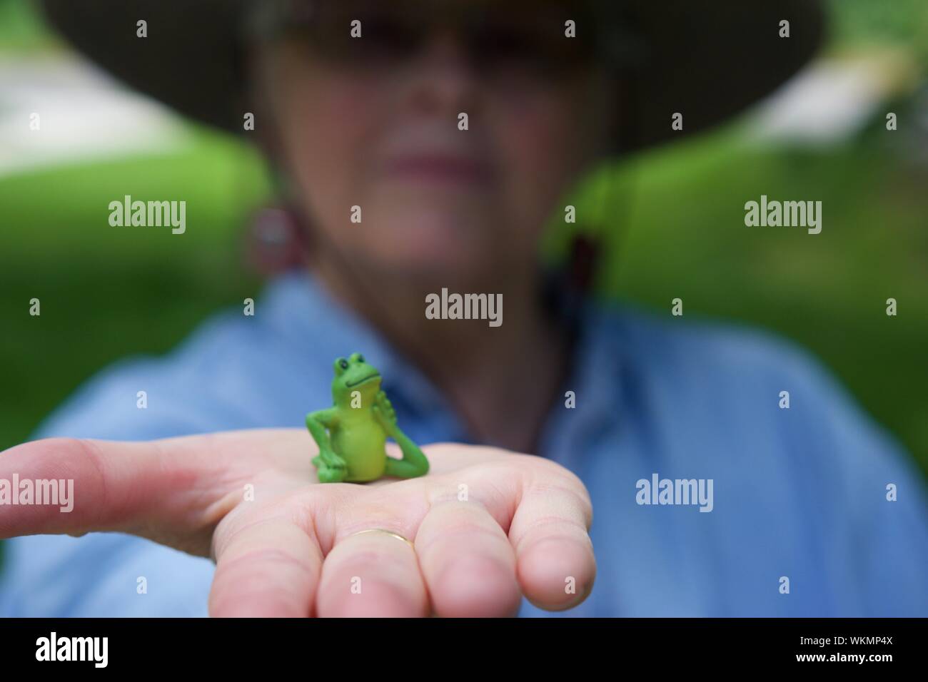 Senior frog hi-res stock photography and images - Alamy