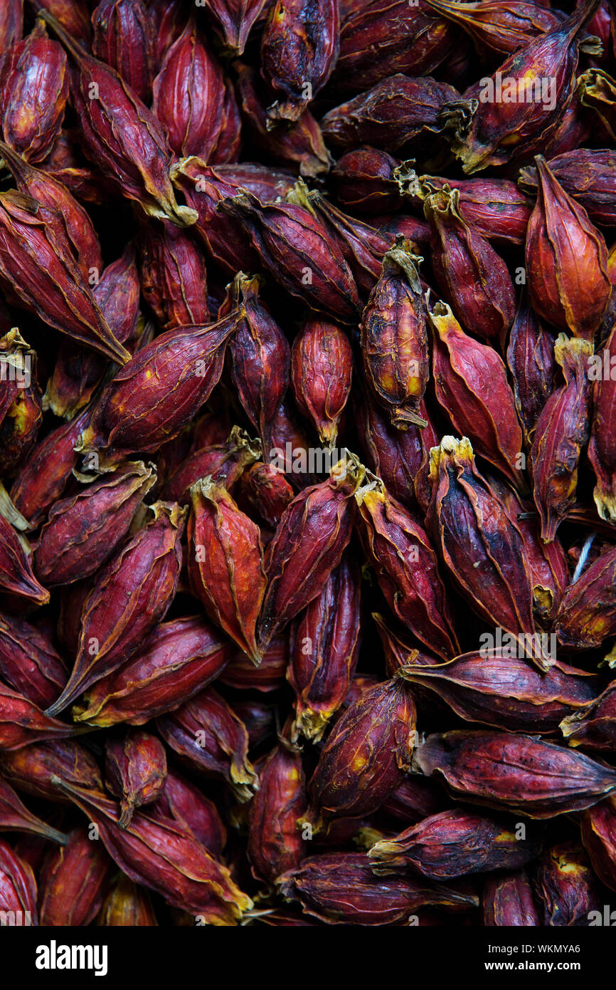 dry roselle flower Stock Photo - Alamy