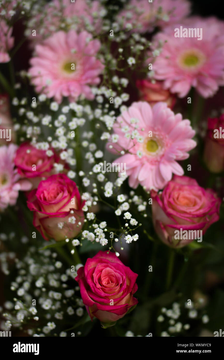 Roses, gerberas and gypsophila combined in a flower arrangement. 5 ...