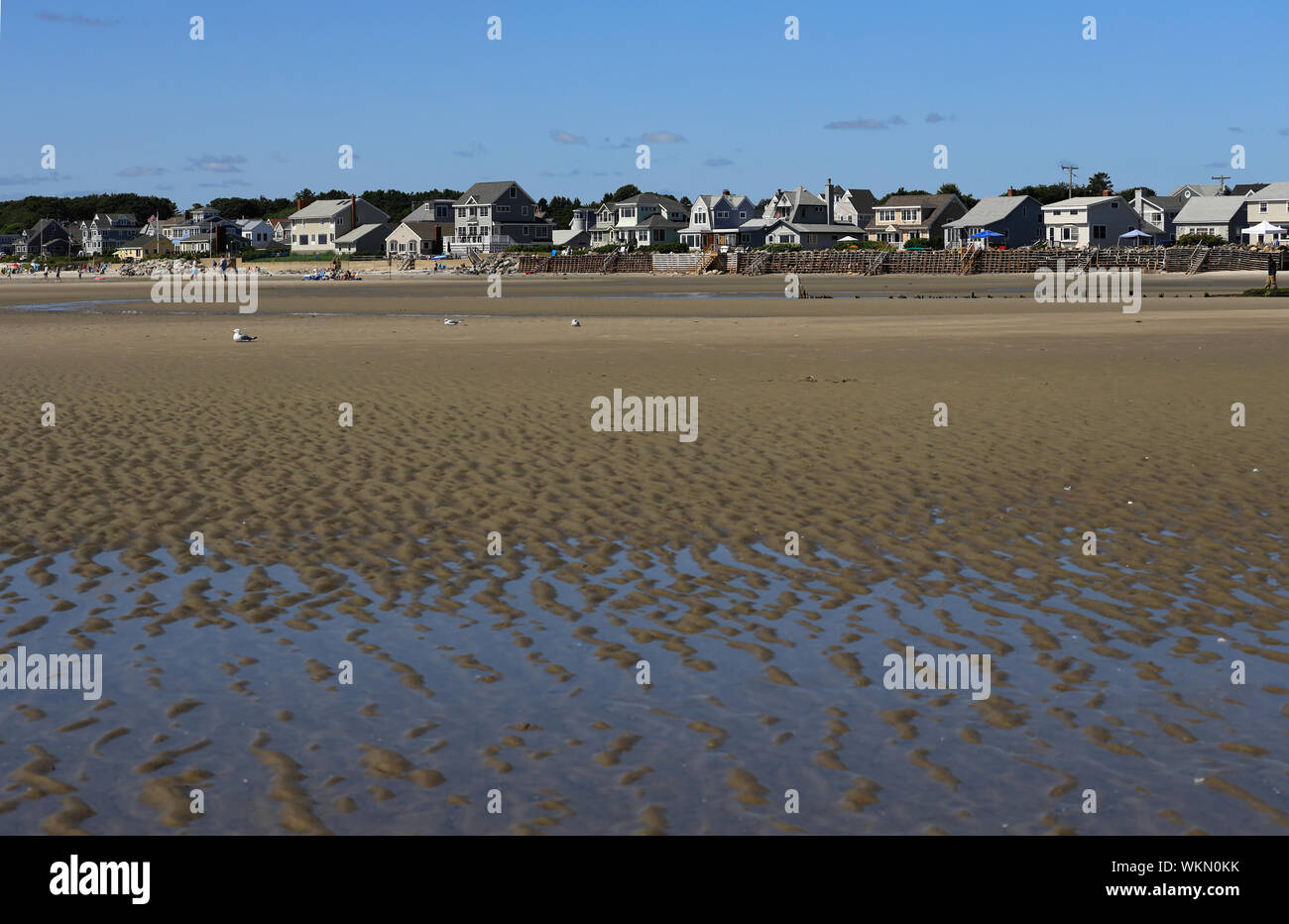 Higgins beach maine hi-res stock photography and images - Alamy