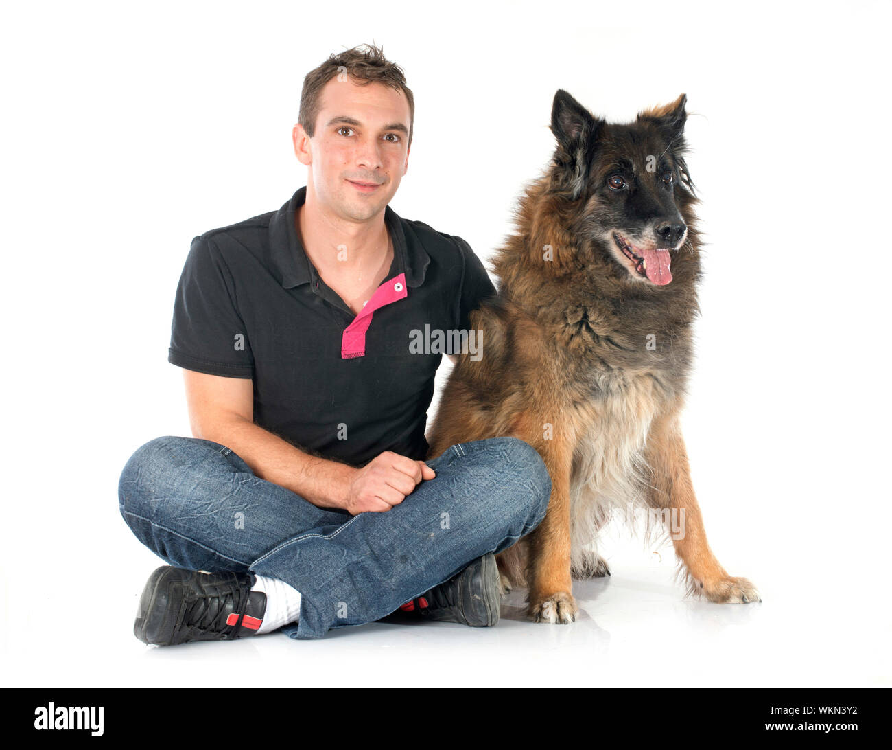 old belgian shepherd and man in front of white background Stock Photo ...