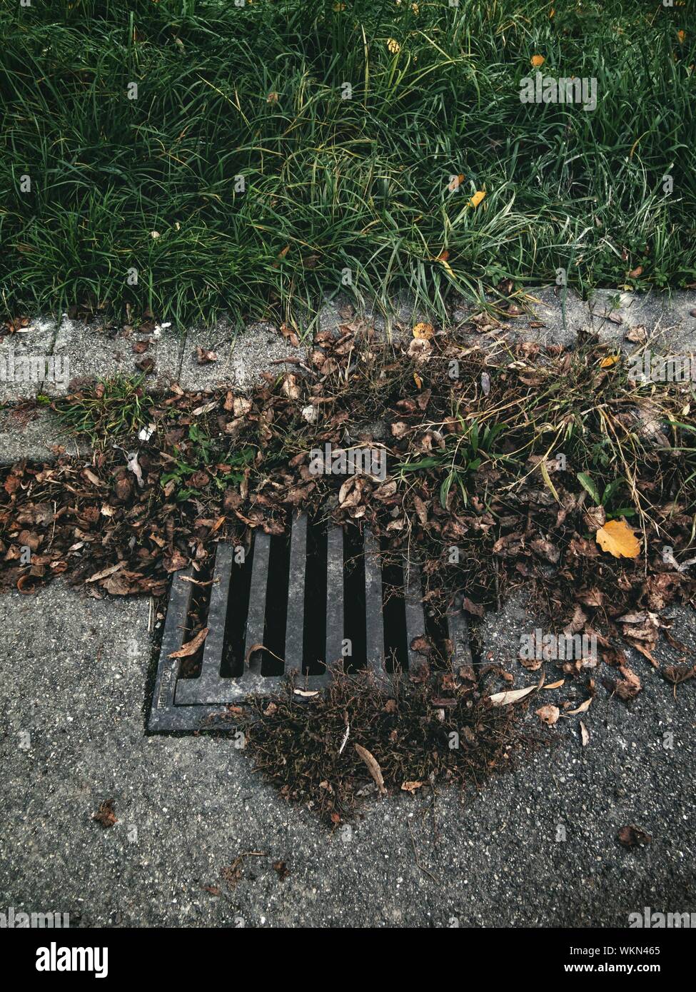 Sewage grate road hi-res stock photography and images - Alamy