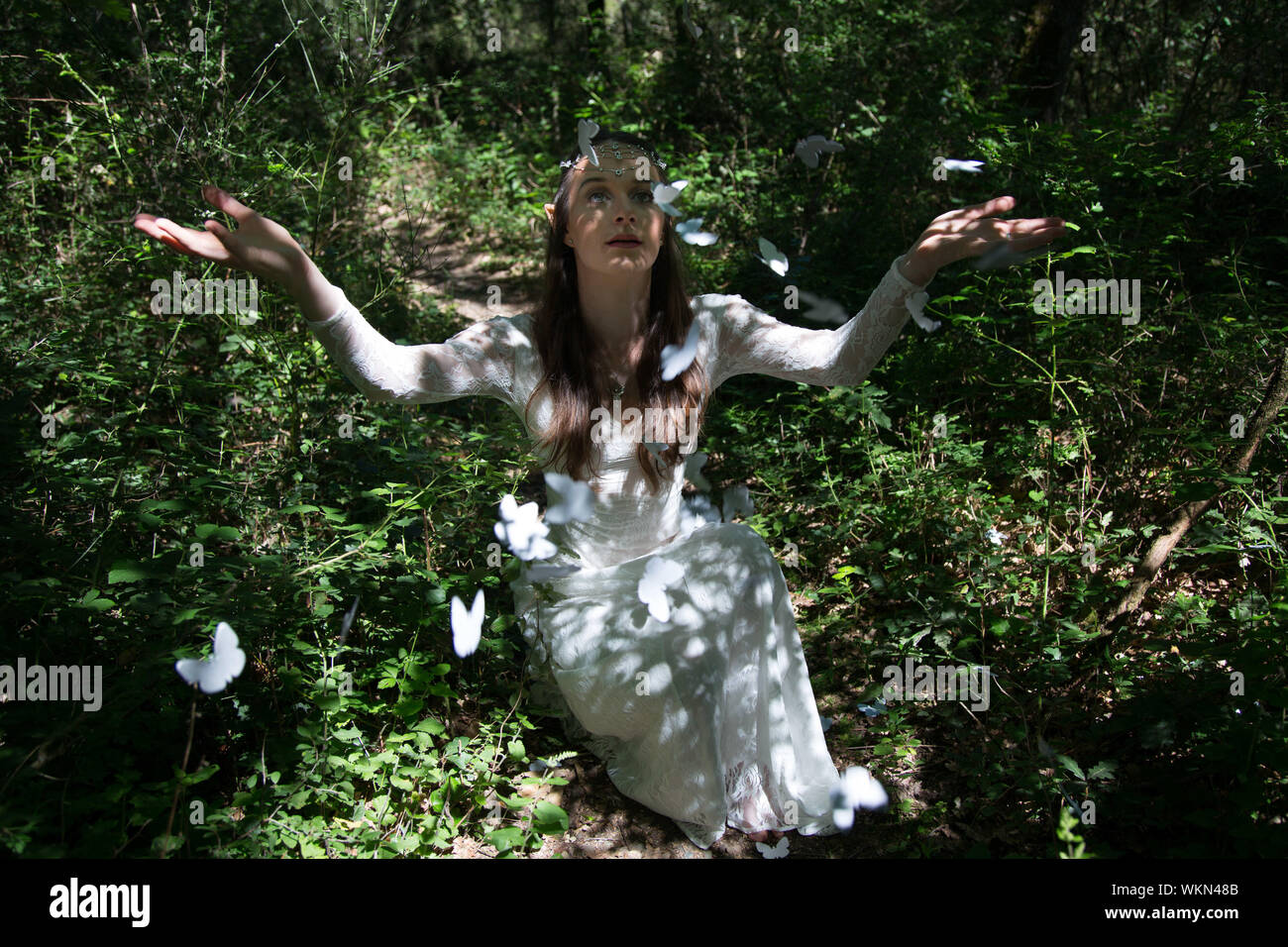 Butterflies flying white hi-res stock photography and images - Alamy