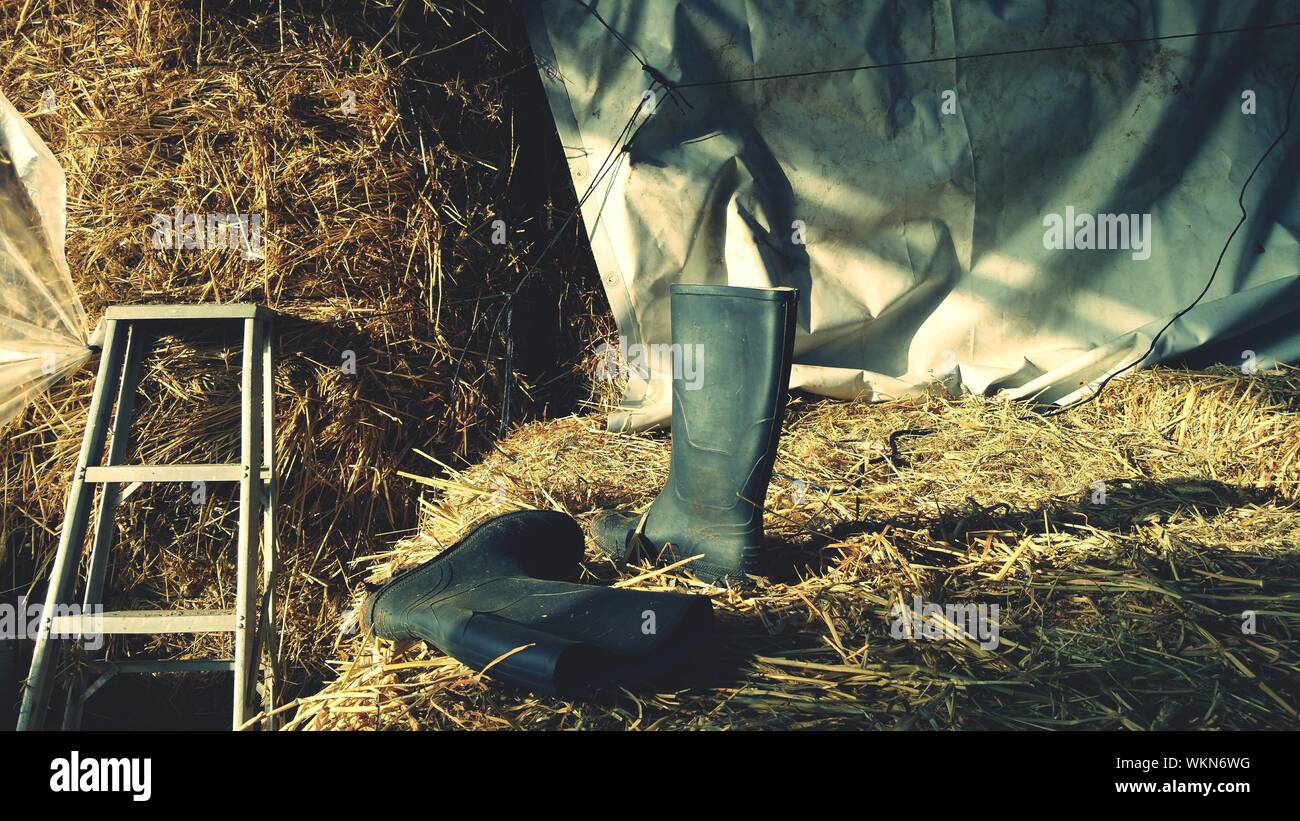 Hay Boots High Resolution Stock Photography and Images - Alamy