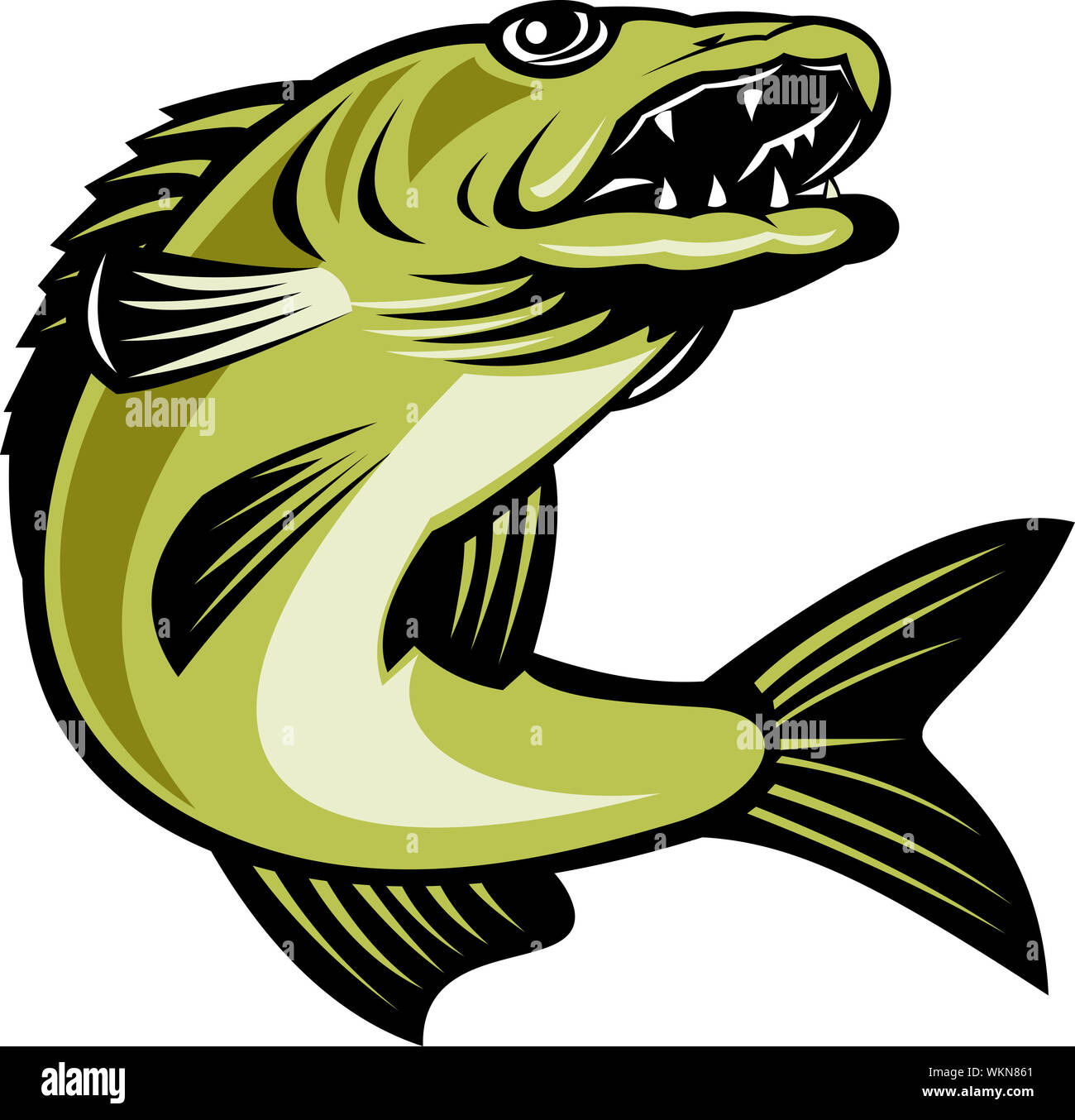 illustration of a Walleye fish jumping isolated on white with words ...