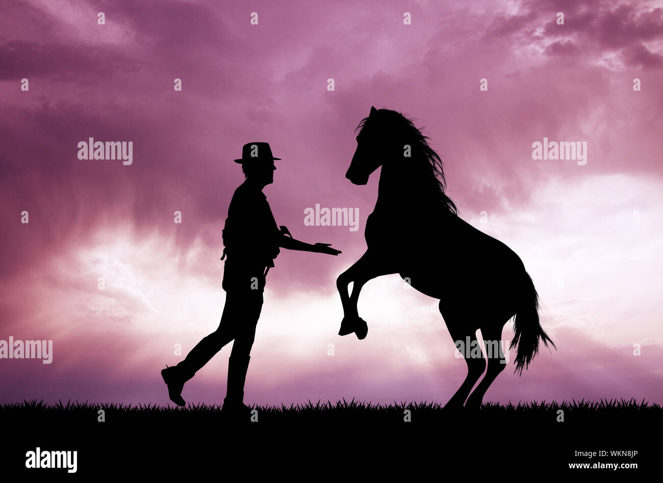 Man and horse Stock Photo - Alamy