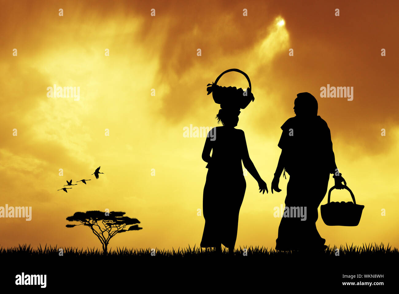 African Woman Reflection Water High Resolution Stock Photography and ...