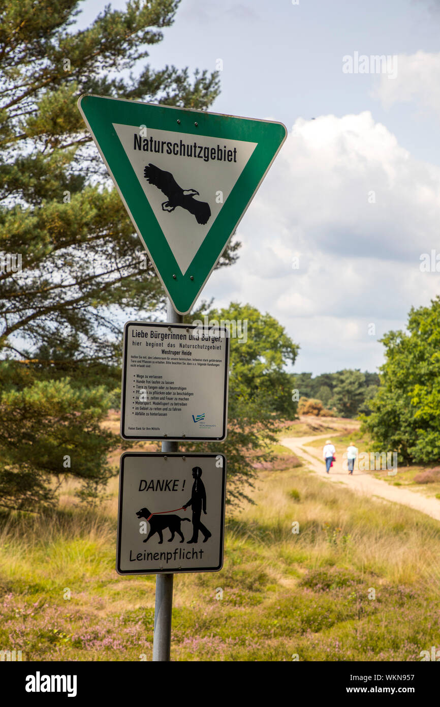 The Westruper Heide, in the nature park Hohe Mark Westmünsterland, near ...