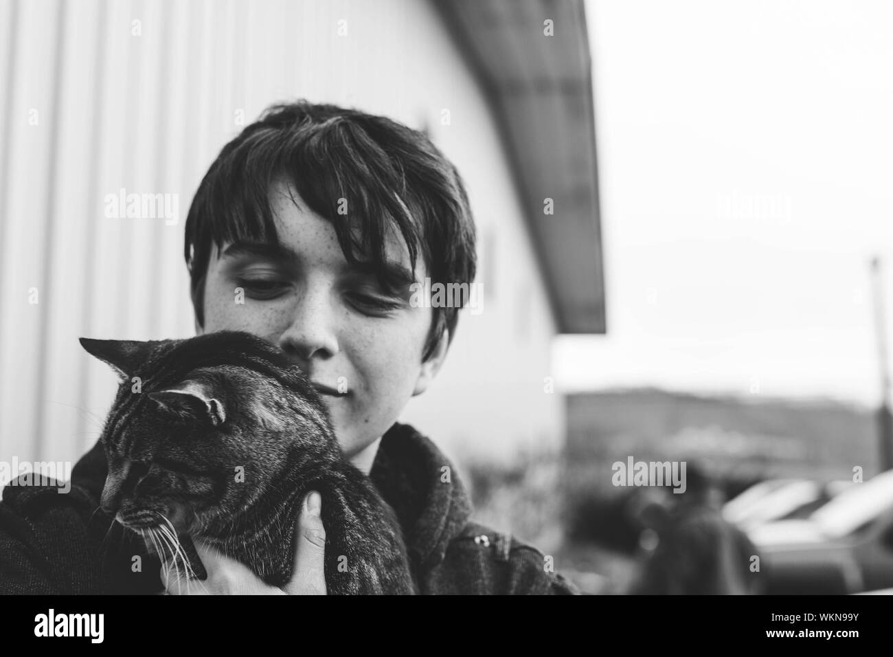 Boy Holding Cat High Resolution Stock Photography and Images - Alamy