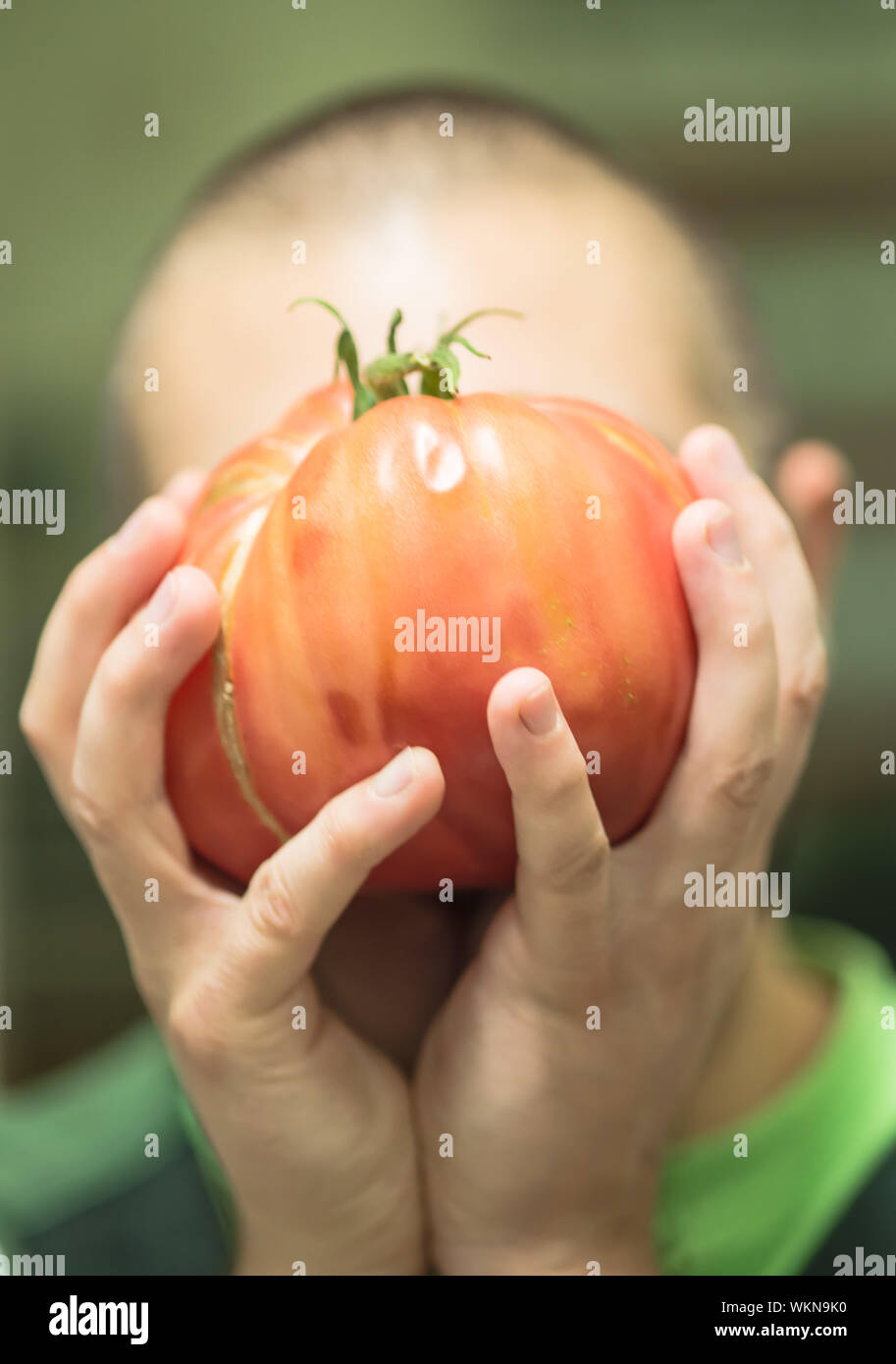 Tomato Face High Resolution Stock Photography and Images - Alamy
