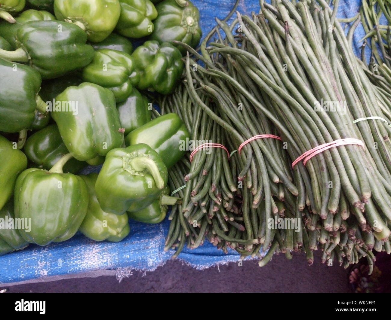 Long chinese hi-res stock photography and images - Alamy