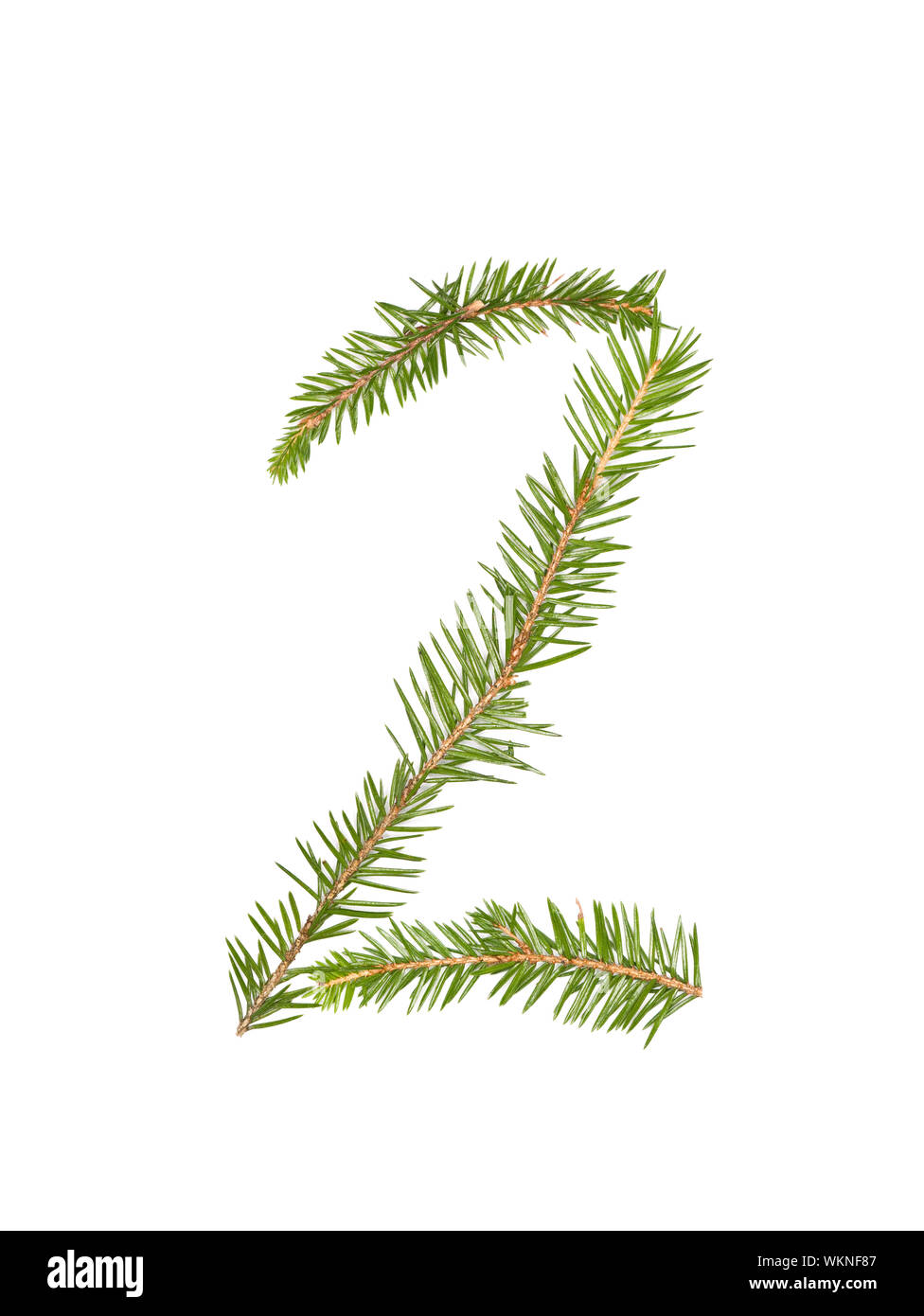 Spruce twigs forming the number '2' isolated on white Stock Photo - Alamy