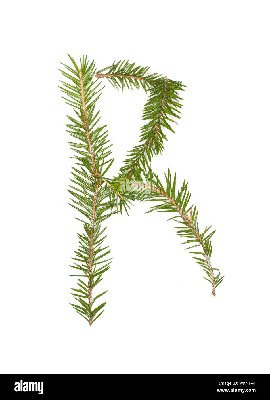 Spruce twigs forming the letter 'R' isolated on white Stock Photo - Alamy