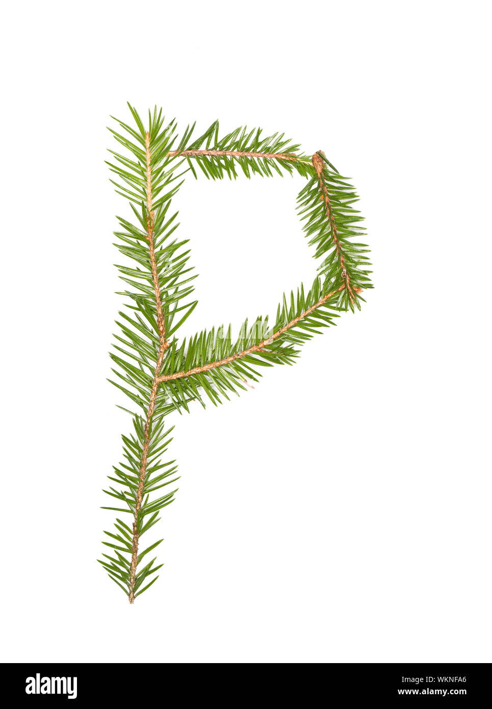 Spruce twigs forming the letter 'P' isolated on white Stock Photo - Alamy