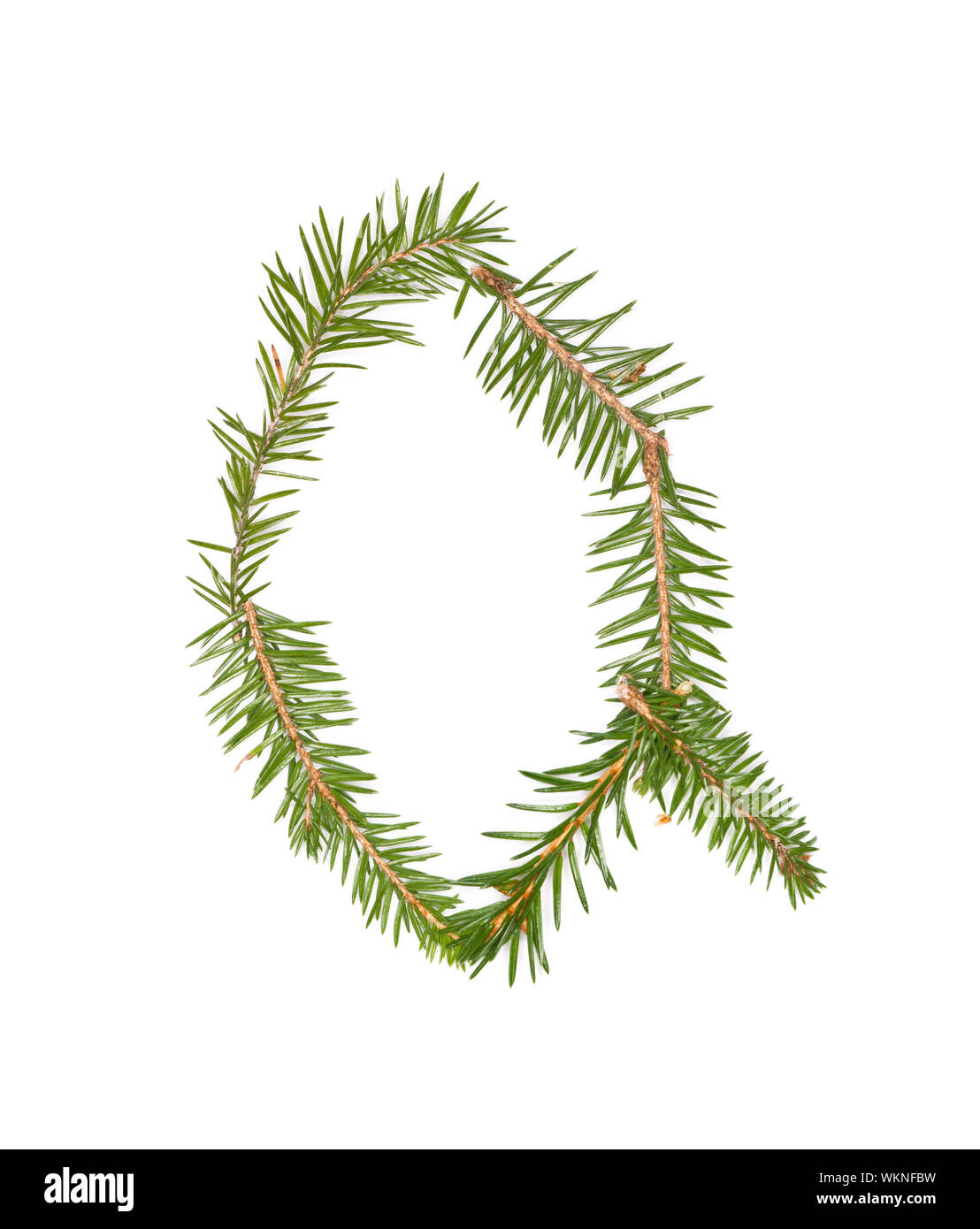 Spruce twigs forming the letter 'Q' isolated on white Stock Photo - Alamy
