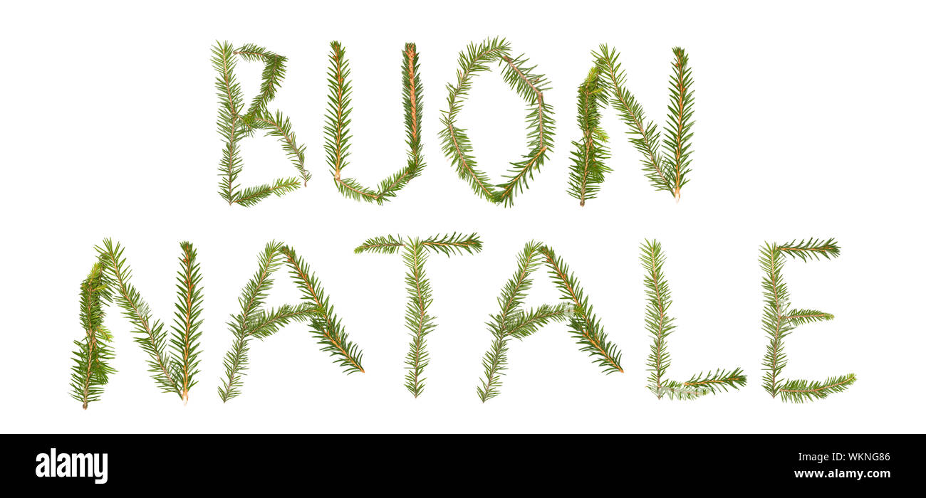 Spruce twigs forming the phrase 'BUON NATALE' isolated on white Stock ...