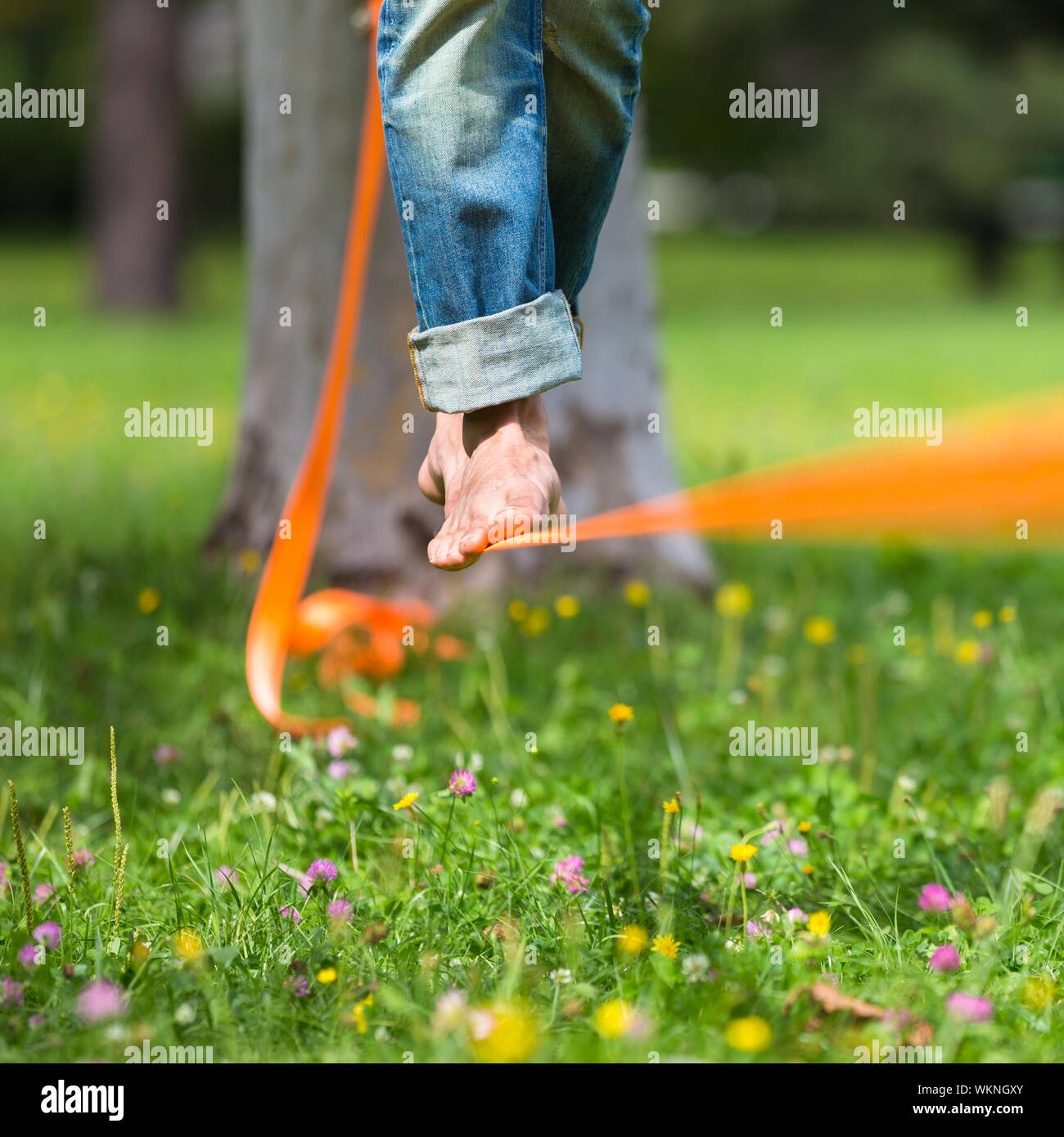 Slack line in the city park Stock Photo - Alamy