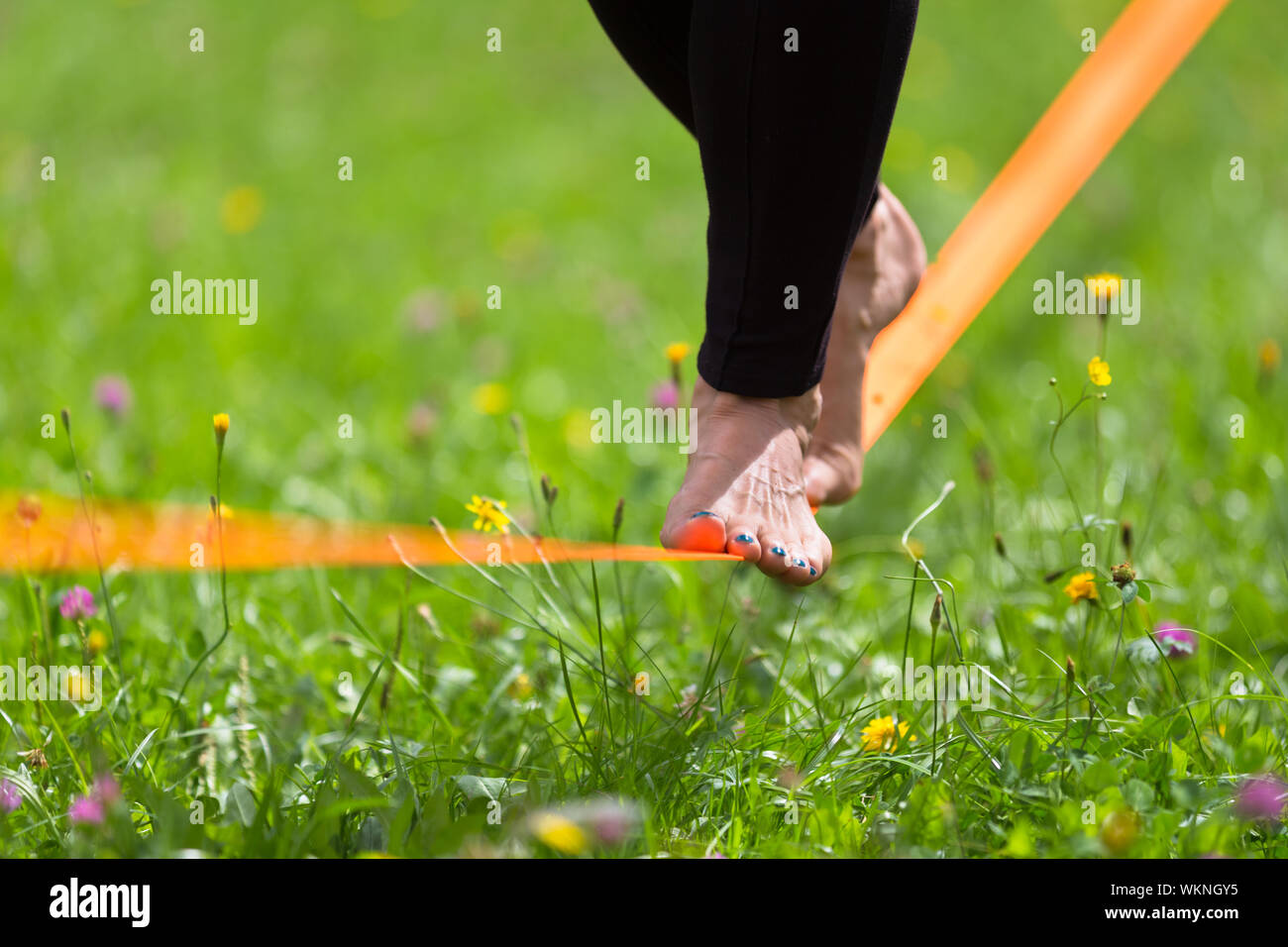Slack line in the city park Stock Photo - Alamy
