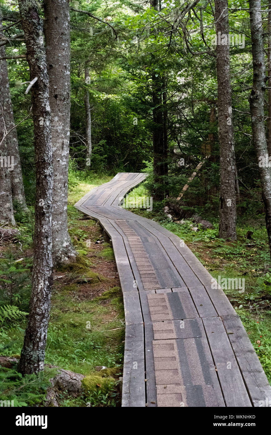 Walk way boardwalk path nature hi-res stock photography and images - Alamy