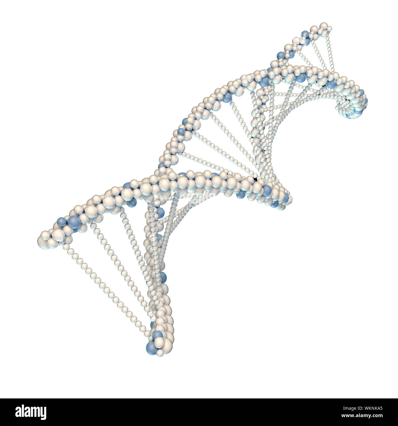 Illustration of white DNA chain. Isolated background Stock Photo - Alamy