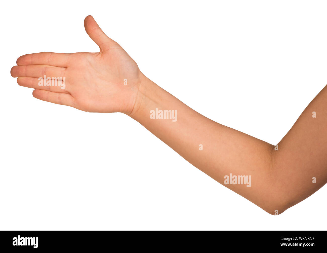 The open hand of a young woman. Isolated on white background Stock ...