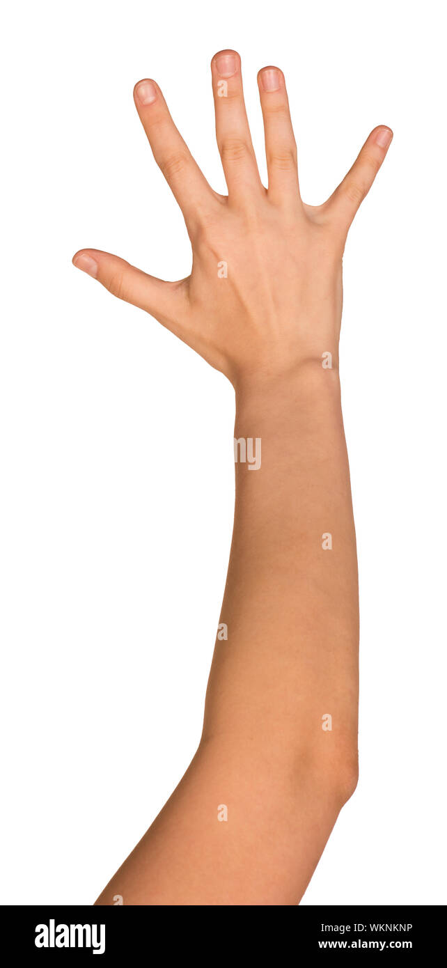 The open hand of a young woman. Isolated on white background Stock ...