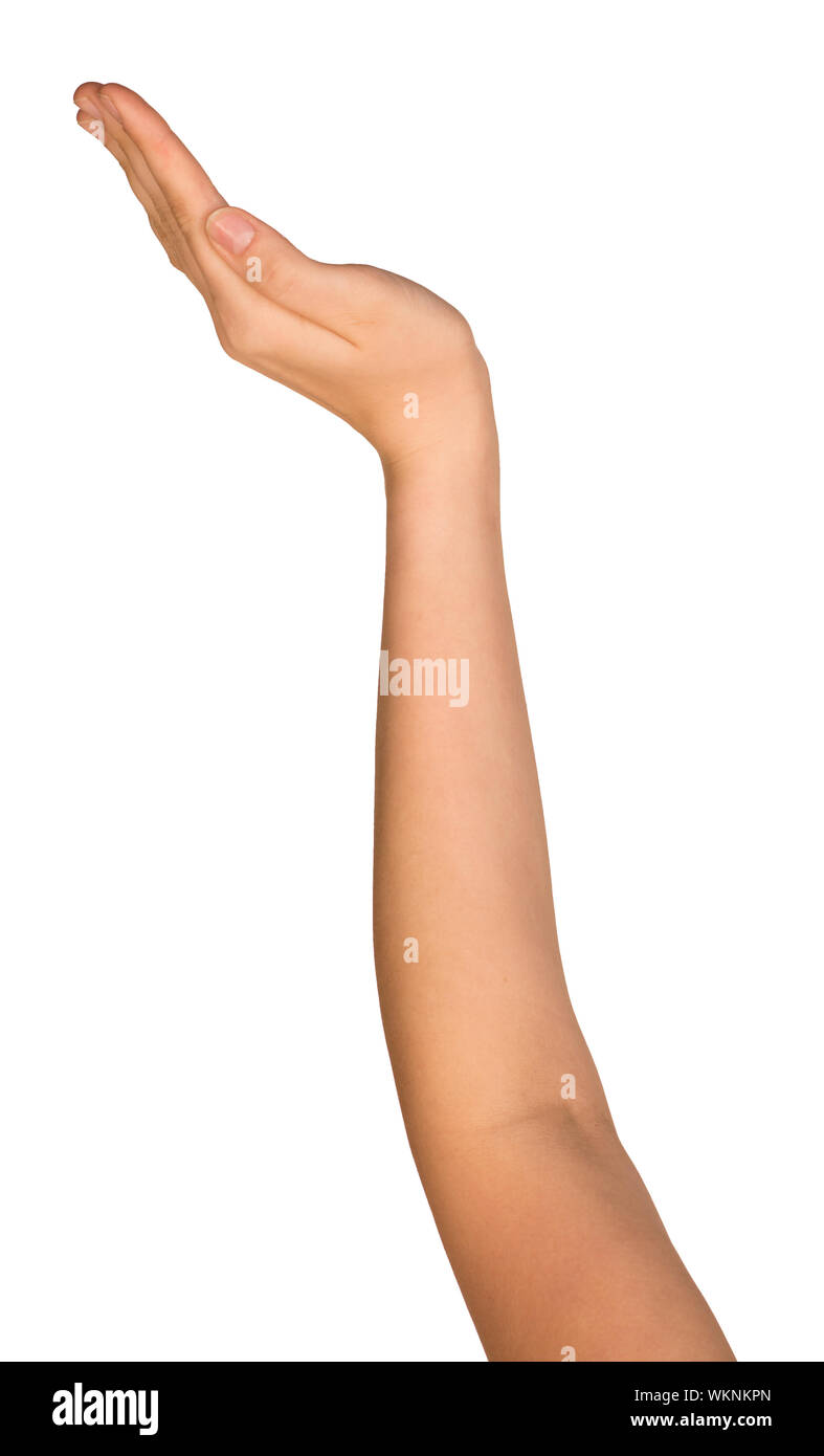 The open hand of a young woman. Isolated on white background Stock ...