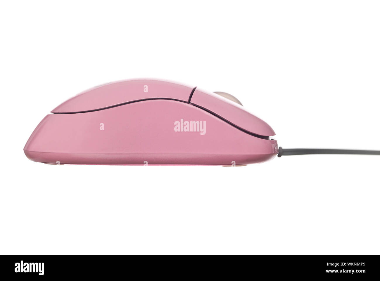 Pink Computer mouse isolated on white background Stock Photo - Alamy
