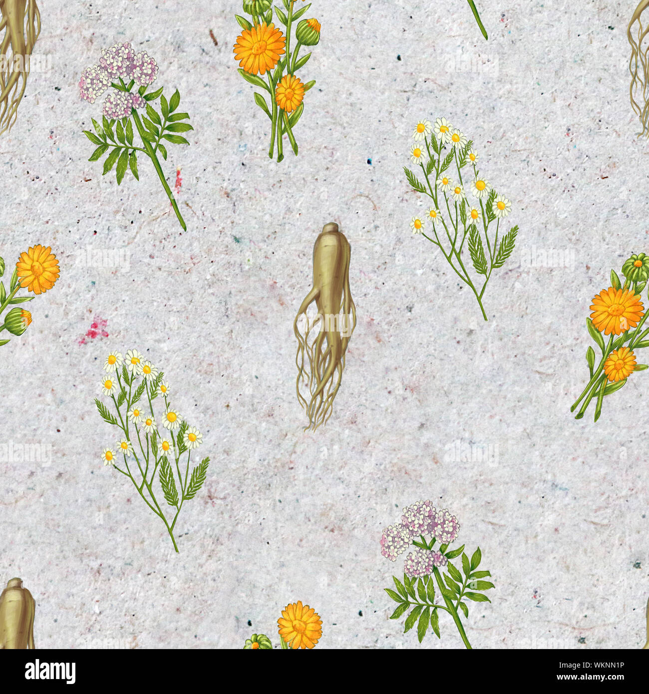 Hand drawn medicinal plant seamless pattern. Healing herbs drawing on ...