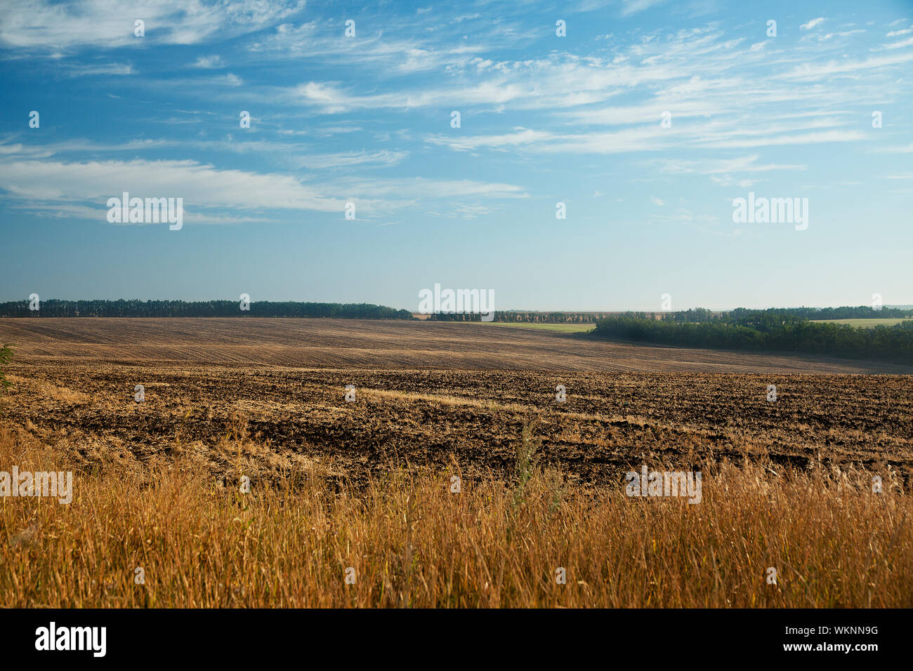 Landscape with cloudy sky, trees and tilled soil Stock Photo - Alamy