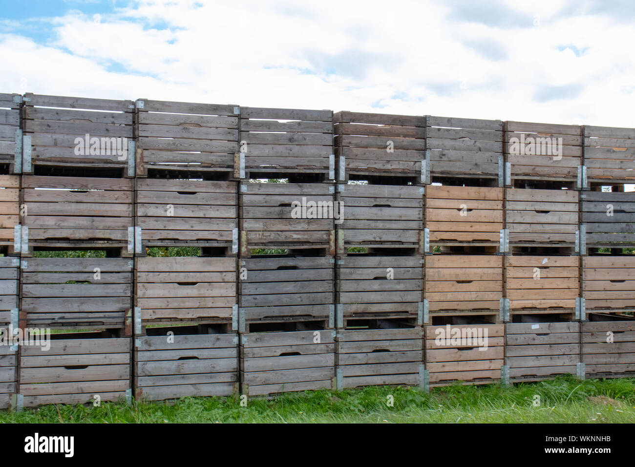 Apple plantation with wooden boxes hi-res stock photography and images ...