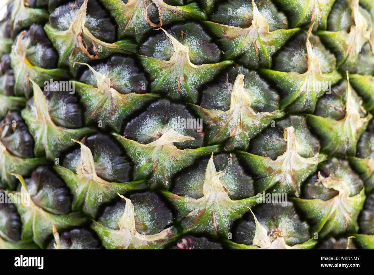 pineapple - details Stock Photo - Alamy