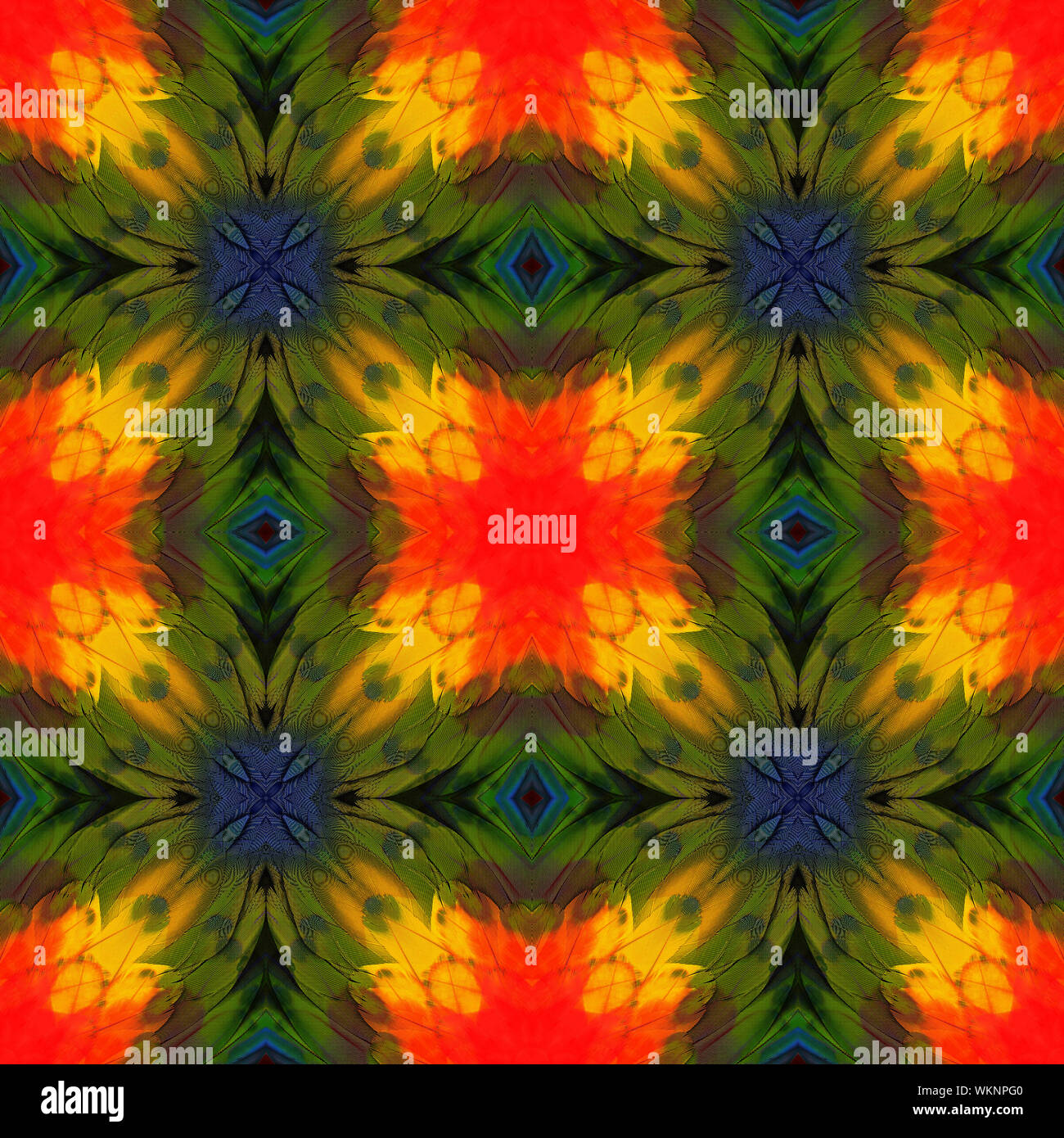 Seamless pattern made from Scarlet Macaw feathers background Stock ...