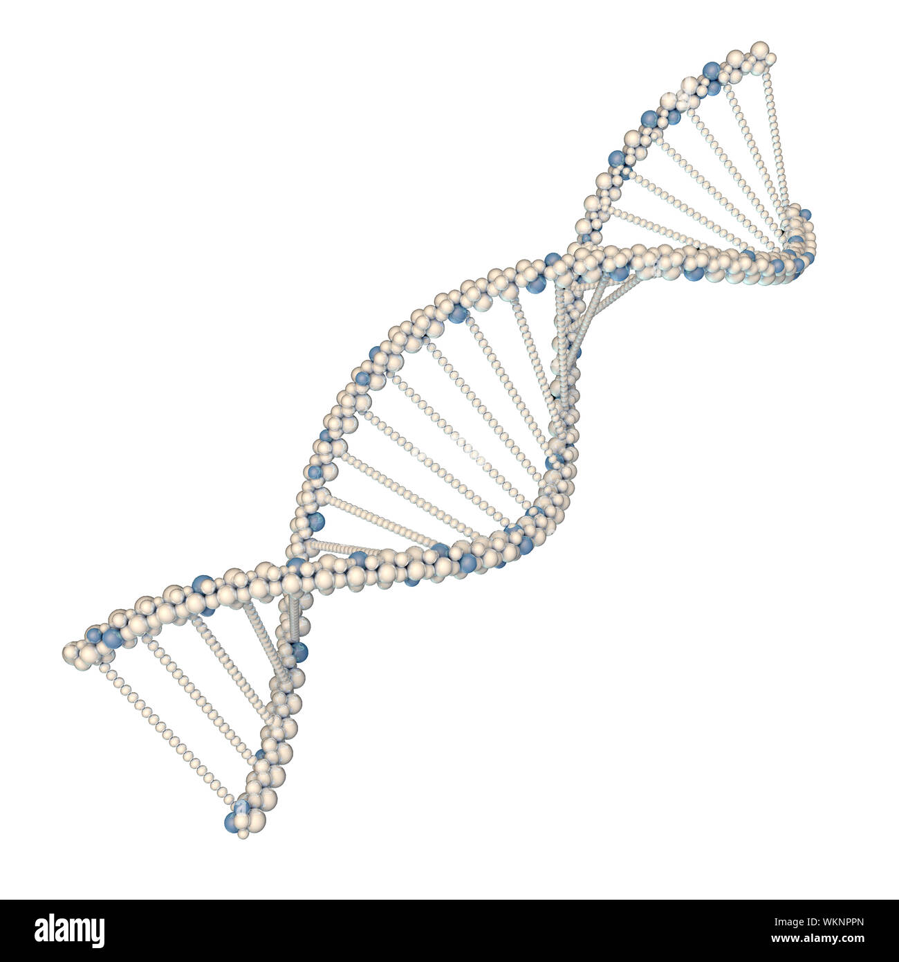DNA molecules. Isolated on the white background Stock Photo - Alamy
